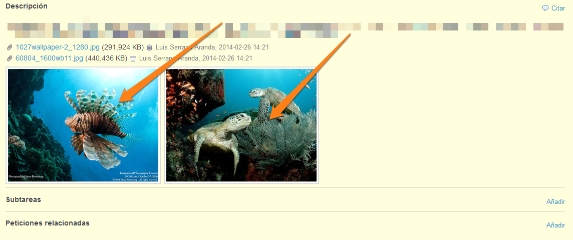 Example multi attach.png - Redmine